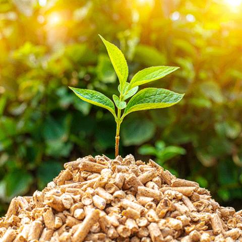 Biobased products testing and certifications | Eurofins Services