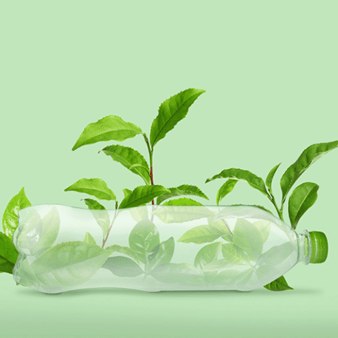 Biodegradability testing and disintegration testing | Eurofins
