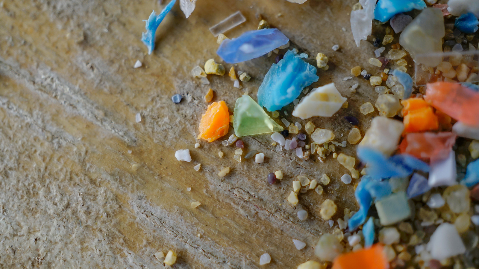 Microplastic Analysis | Impact of plastics on the environment